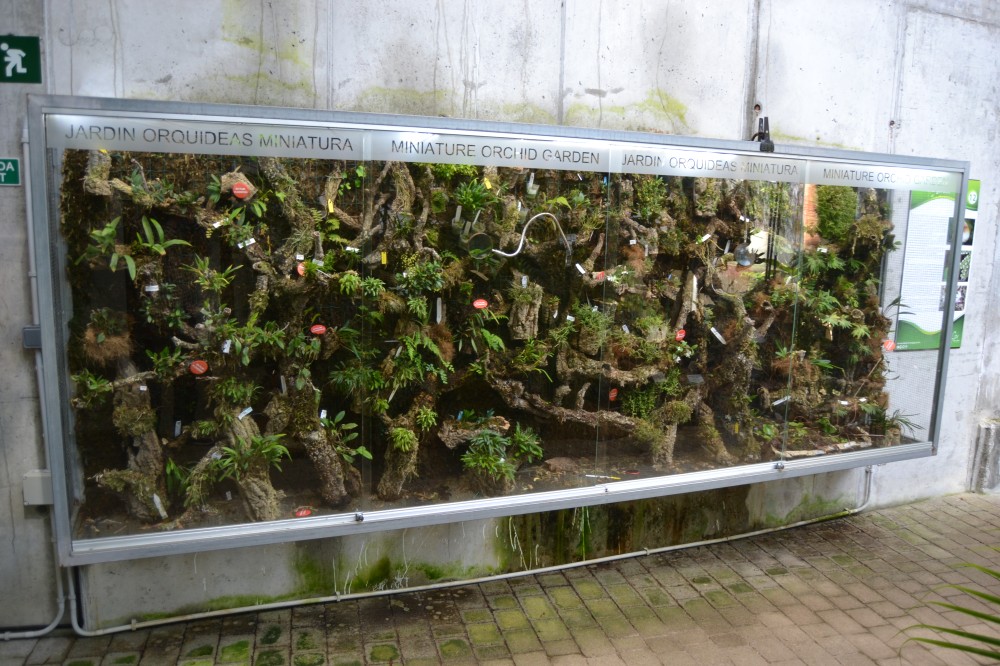 12 Types of Vivarium! (List + Images + Definition) - VivariumTips