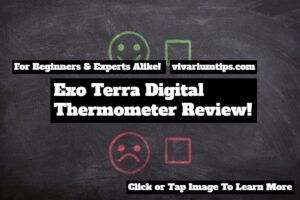 PT2472 - Exo Terra Digital Thermometer Review - 8 Features - VivariumTips